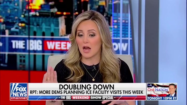 Taylor Riggs: The Courts Never Weighed in on Open Borders, Now They ...